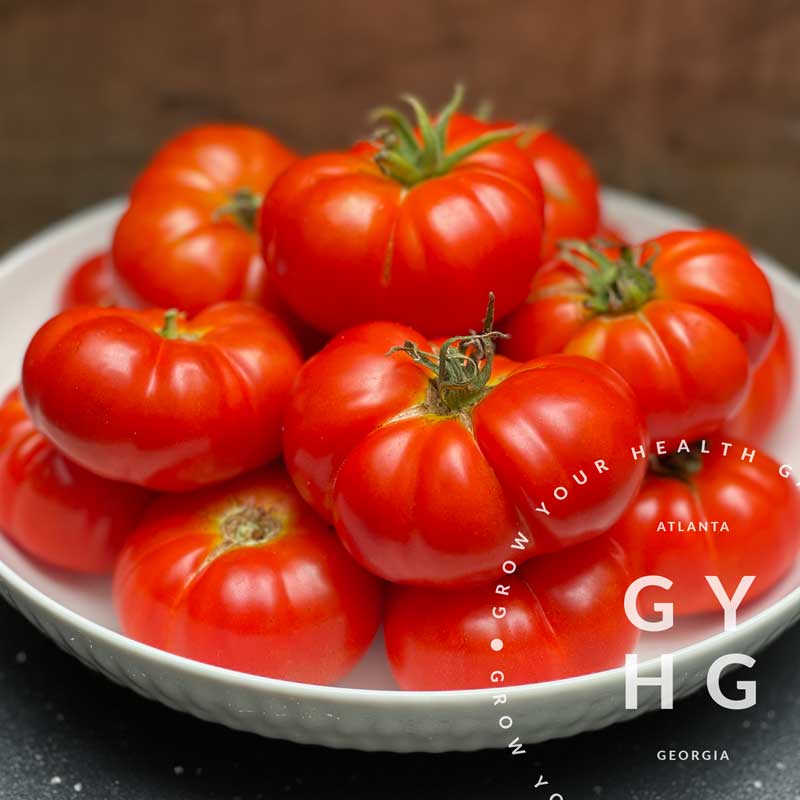 Nostrano Grasso Italian Heirloom Tomato Seeds (Extremely Rare) – Grow ...