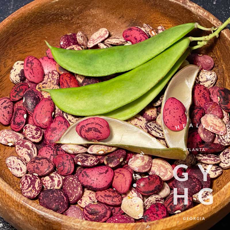 Violet’s Multi-Colored Butterbean Lima Bean (Pole) – Grow Your Health ...